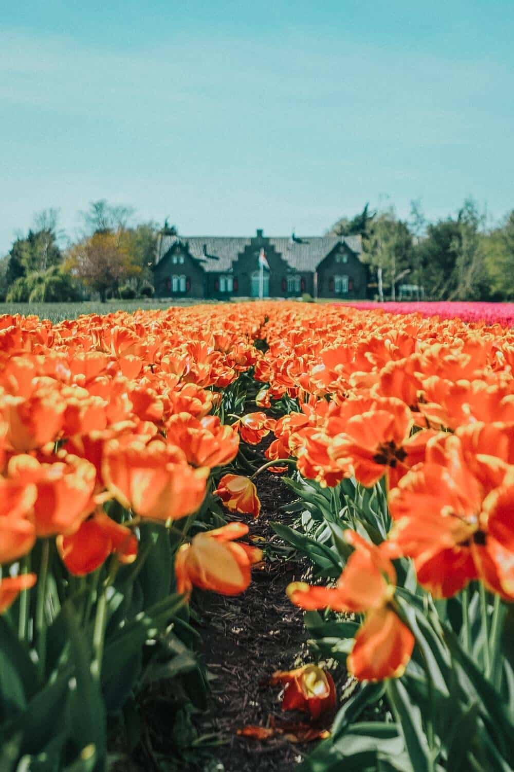 13 Most Beautiful Towns in The Netherlands | Avenly Lane