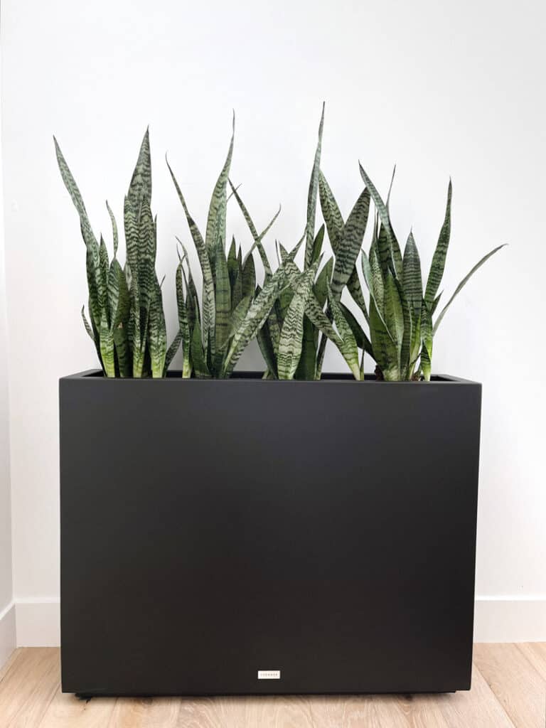 Veradek Planters Review - The Best Modern Rectangle Planters | Avenly Lane